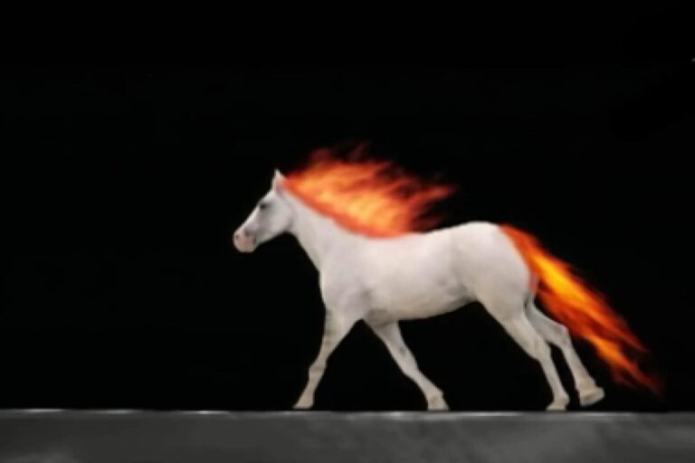 Marma Desam: Vidaadhu Karuppu - The Commune