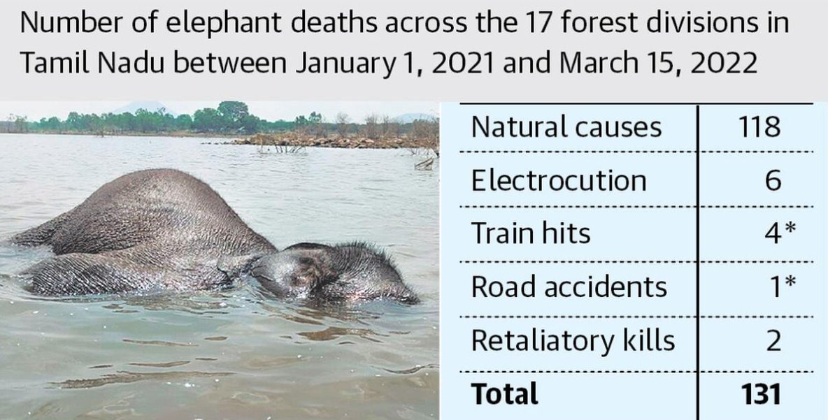 Alarming Rate Of Tiger And Elephant Deaths In Tamil Nadu That No ...