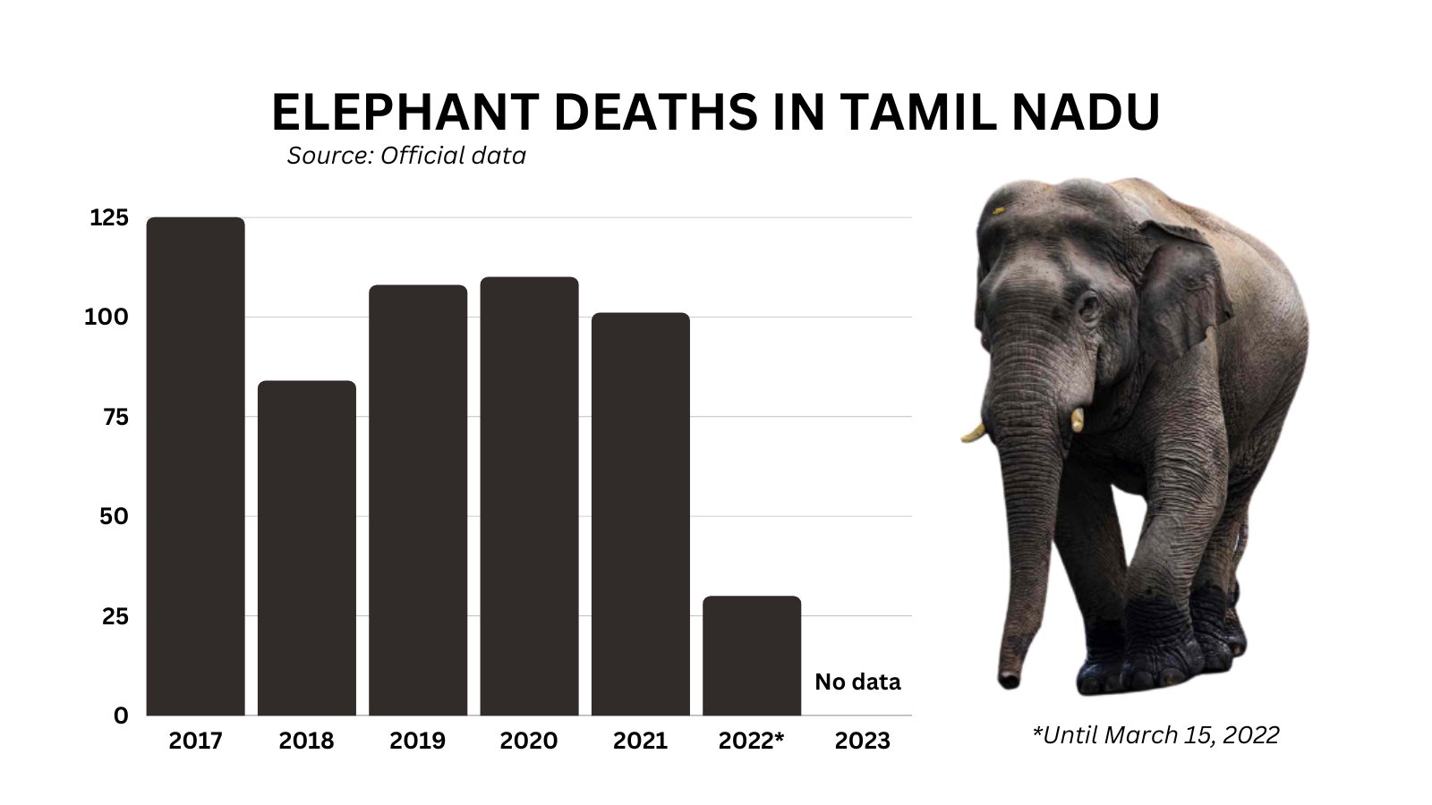 Alarming Rate Of Tiger And Elephant Deaths In Tamil Nadu That No ...
