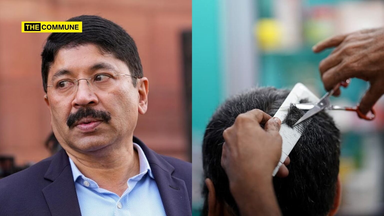 "Jobless Barbers Shave Cat's Fur": DMK MP Dayanidhi Maran Lands In Soup ...
