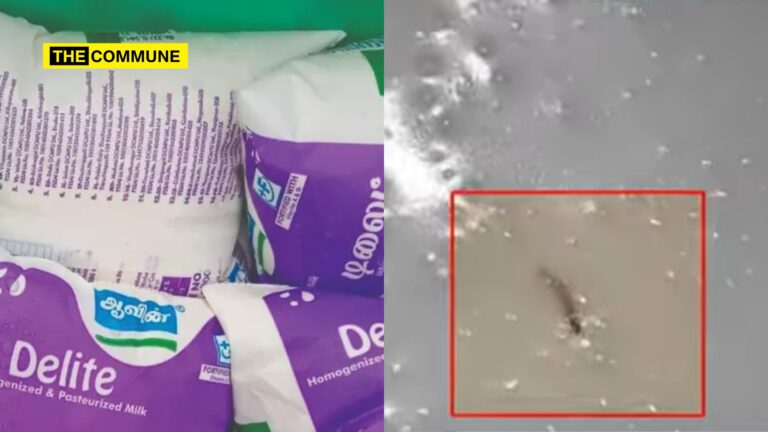 Worms Found In Aavin Delite Milk In Thoothukudi, Leaves Homemakers ...
