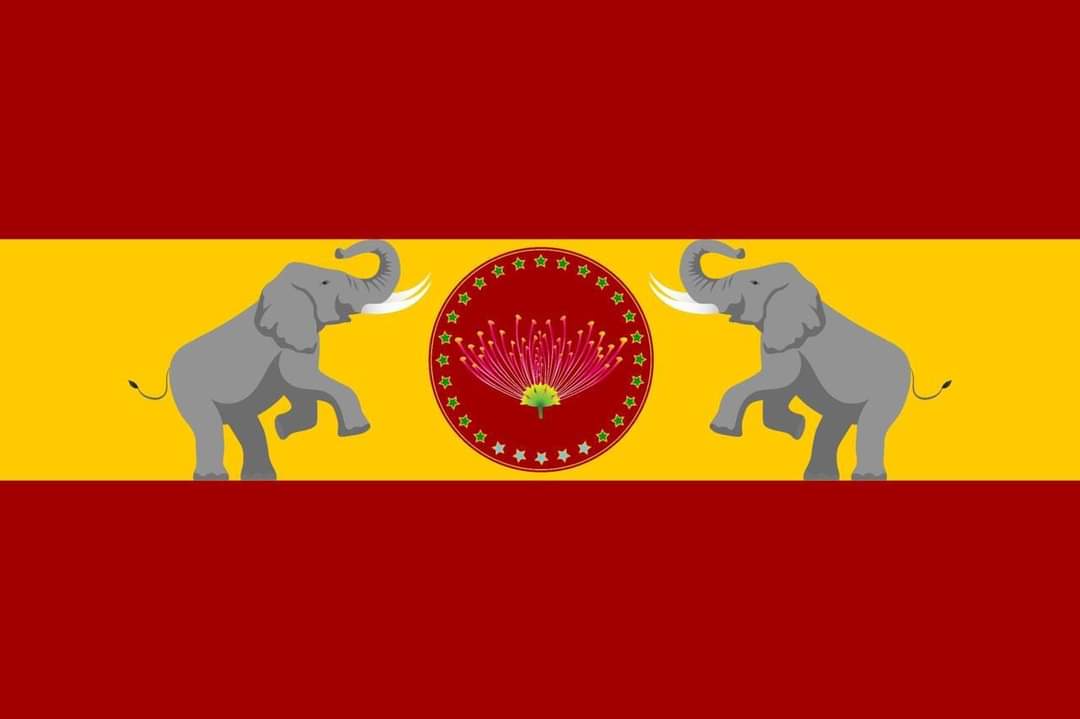 Mistakes In Vijay's TVK Flag Design & Anthem Video: African Elephants ...