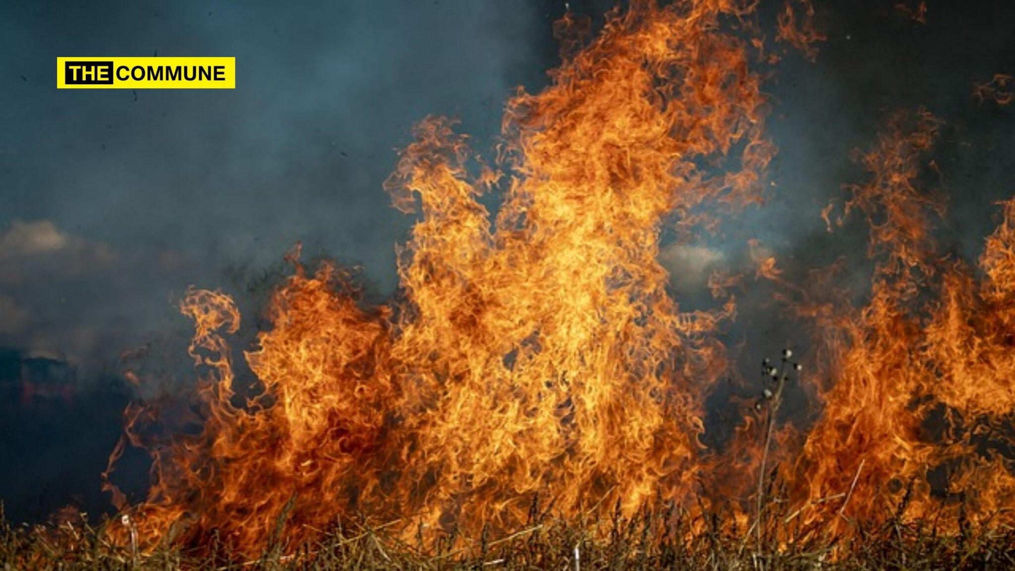 Bushfire Threat Forces Evacuation Of Australian Town