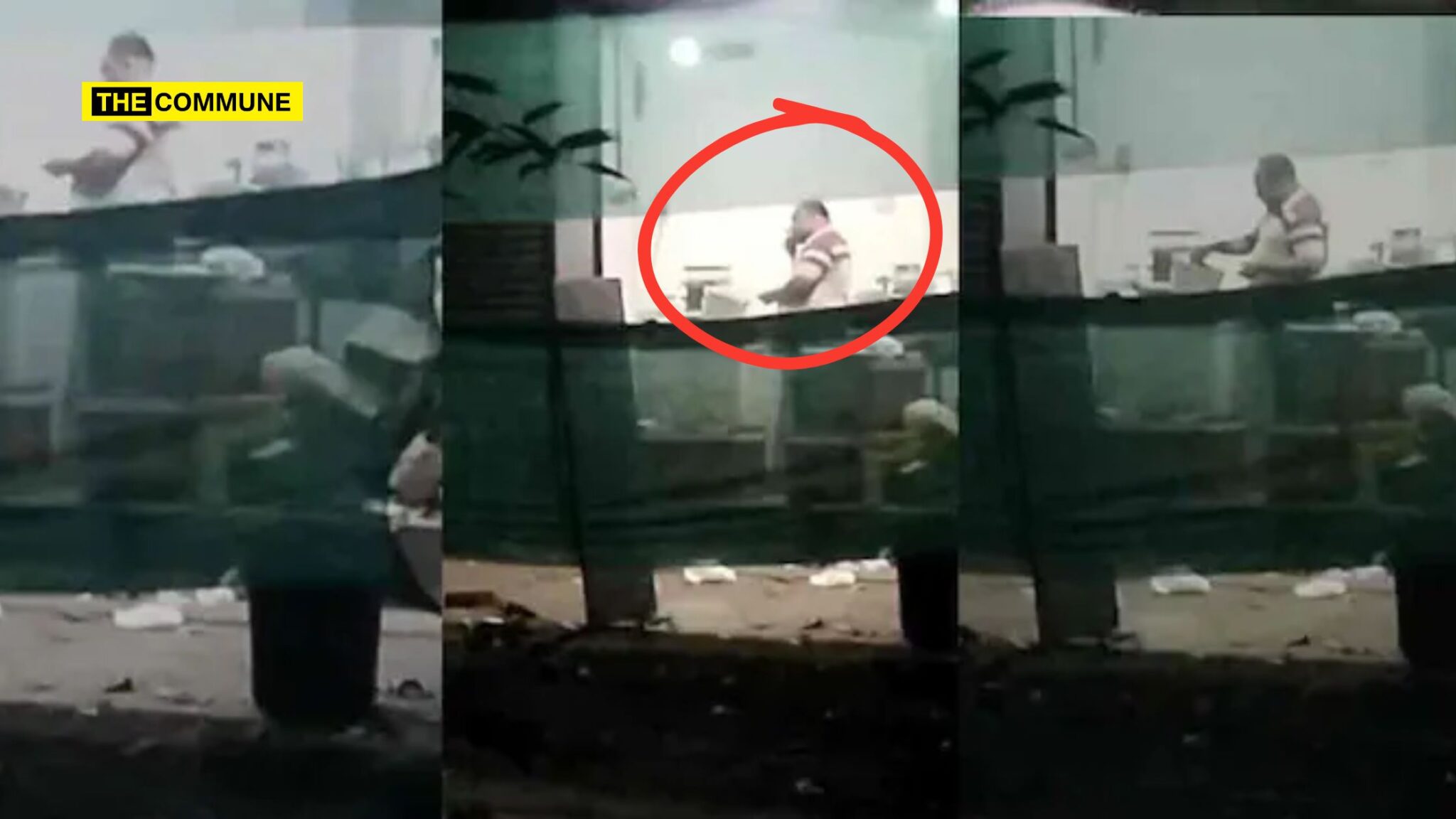 Kerala: Popsicle Vendor Rasheed Licks Each Treat Before Packaging, Shop ...