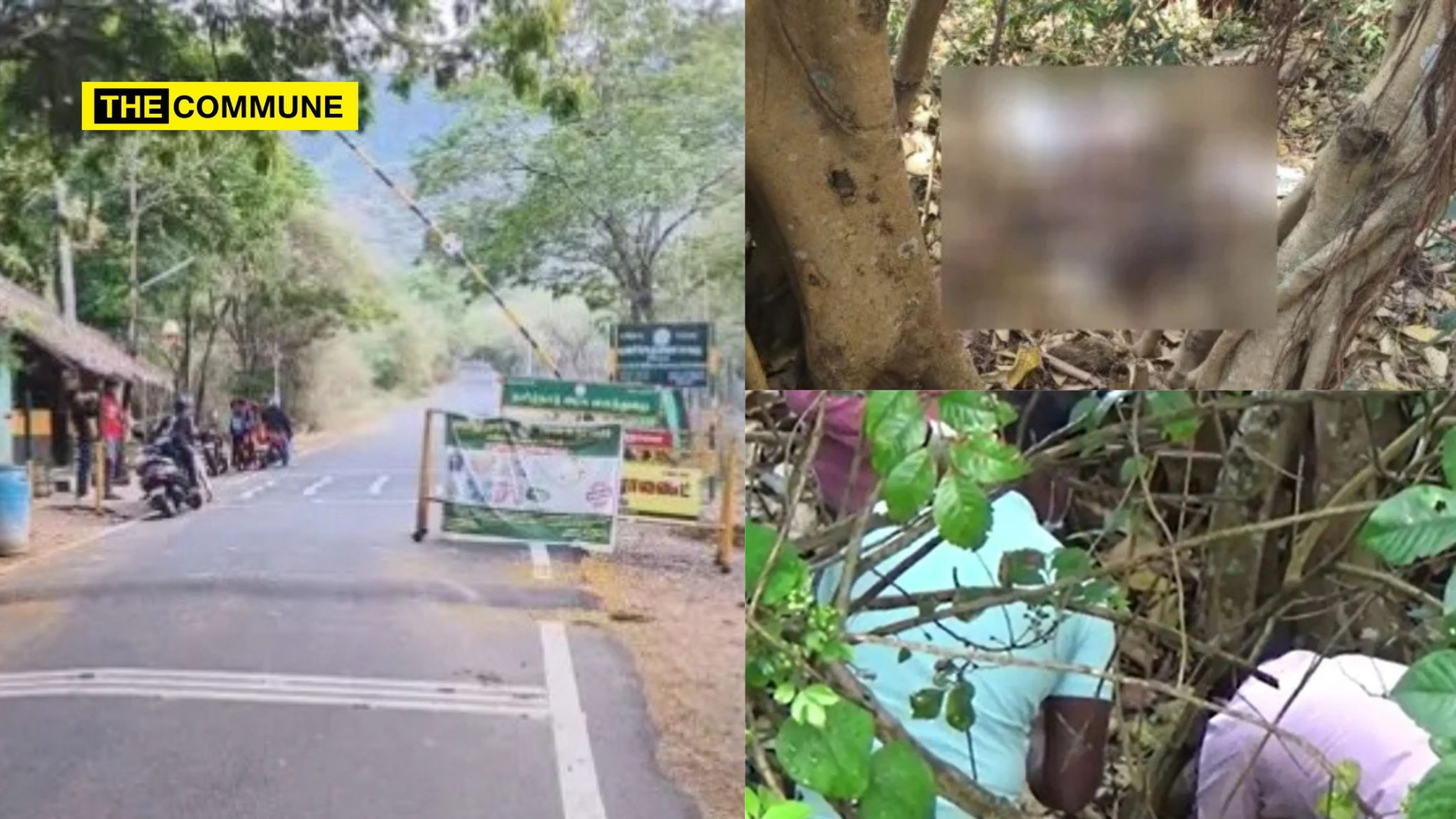 Terror Conspiracy In TN? Bomb Explosion In Sirumalai Forest Injures ...