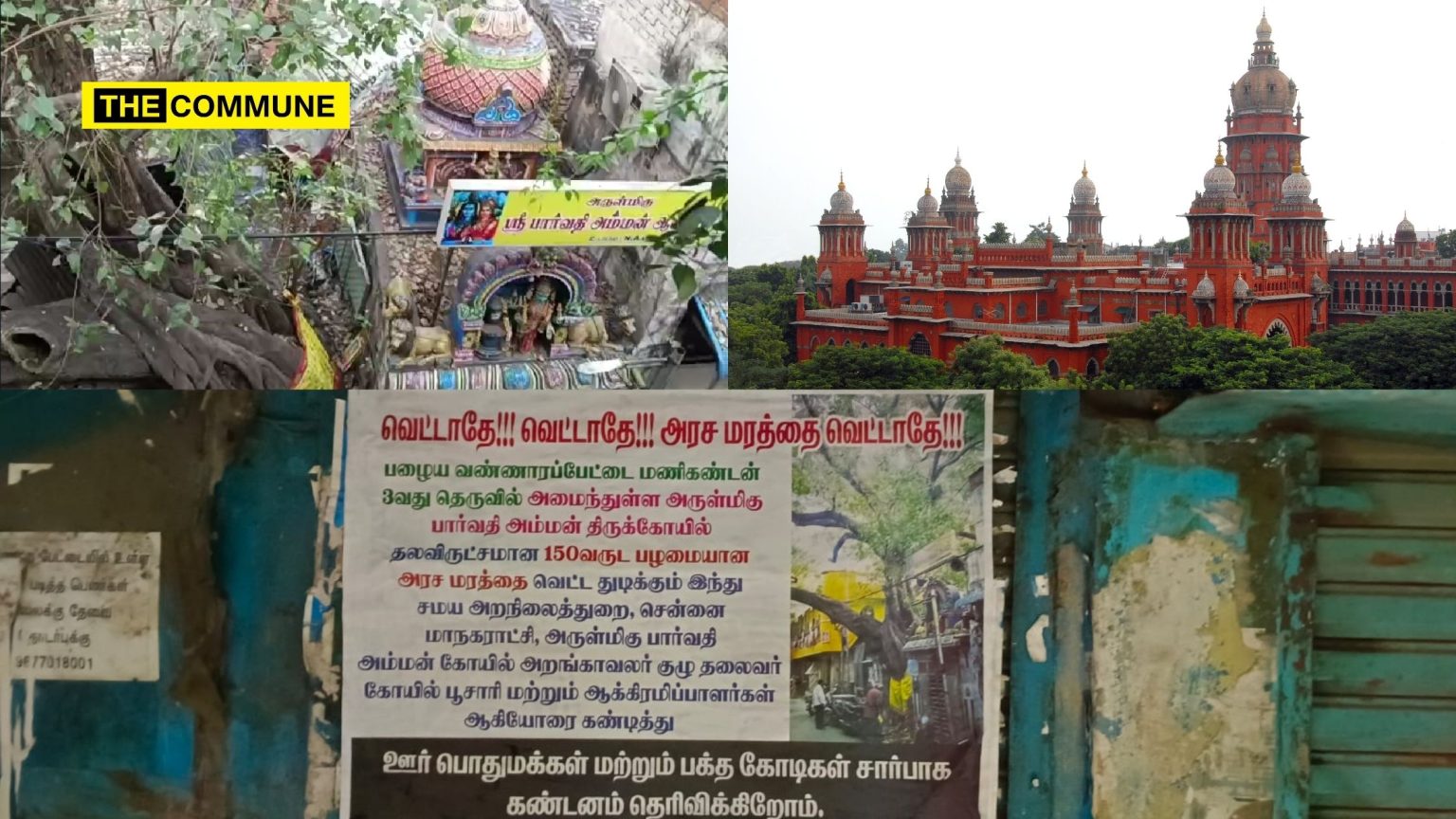 Madras High Court Intervenes To Protect 150-Year-Old Sacred Tree At ...