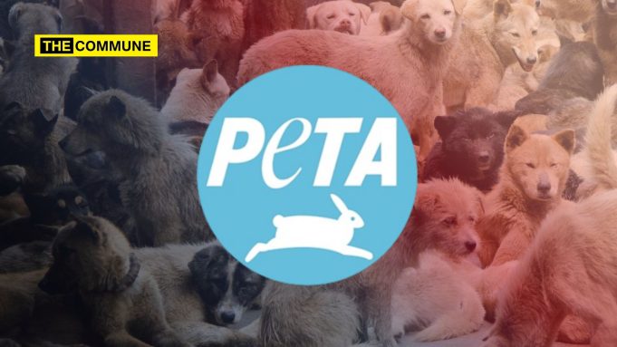 PETA Calls Supreme Court Stray Dog Order "Inhumane"; Here's How PETA ...