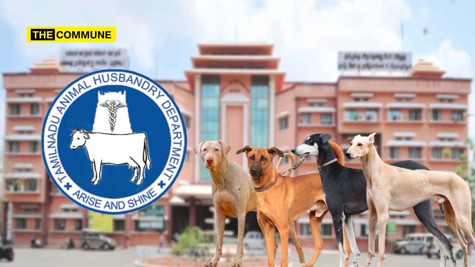 Tamil Nadu Animal Husbandry Department To Begin Official Sale Of Native ...