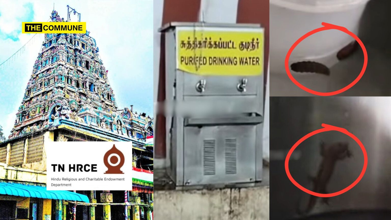 Dravidian Model Tamil Nadu: Lizards, Insects Found In Drinking Water ...